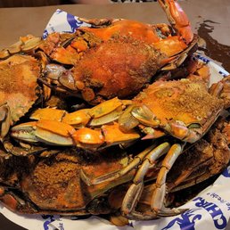 PINCHERS - Updated December 2025 - 521 Photos & 387 Reviews - 28330 ...