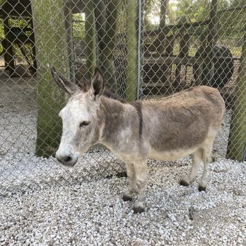 EVERGLADES OUTPOST - Updated December 2025 - 371 Photos & 102 Reviews ...