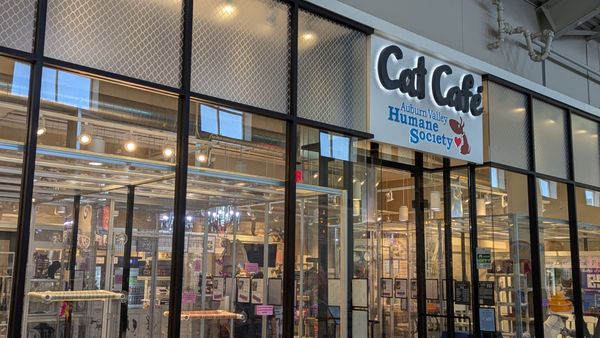 THE OUTLET COLLECTION SEATTLE - Updated October 2025 - 212 Photos & 197 ...