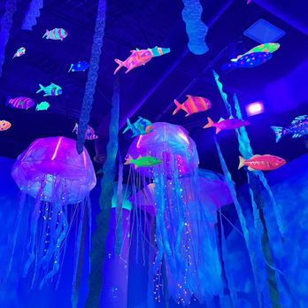 WONDER CHAMBER - Updated January 2026 - 104 Photos & 56 Reviews - 8800 ...