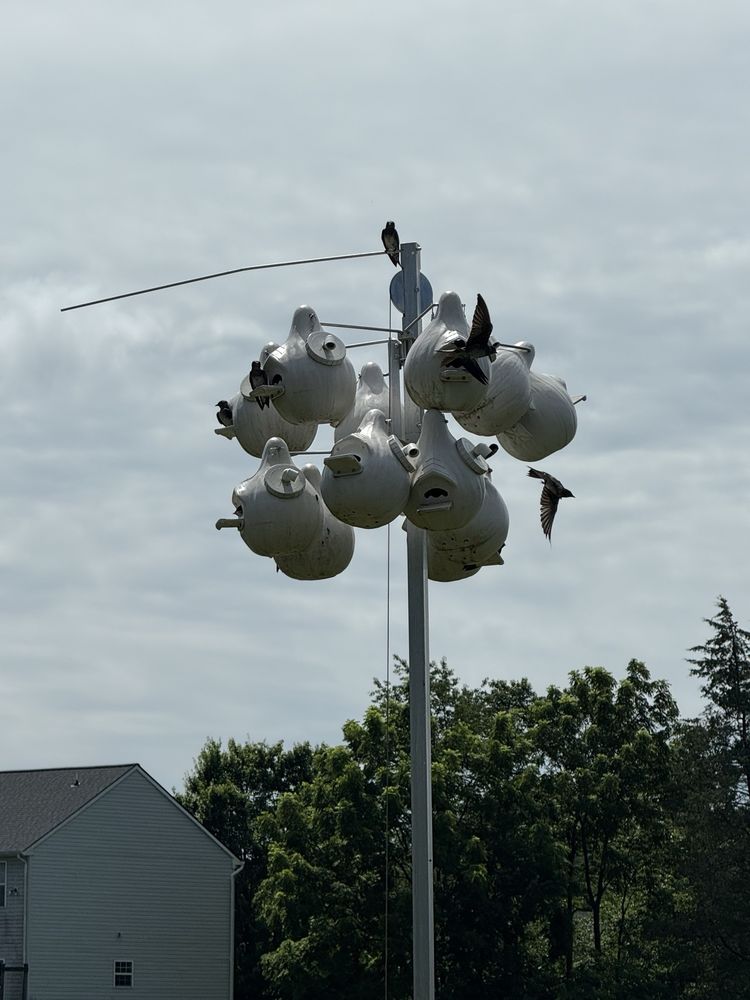 SPILMAN PARK - Updated October 2025 - 10 Photos - 3543 Colvin Rd ...