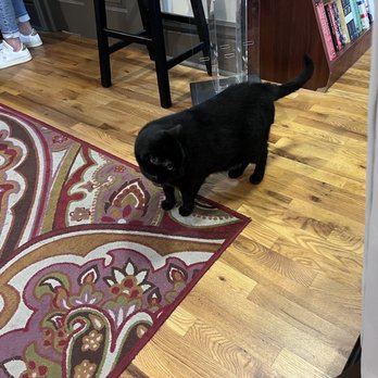 NEXT PAGE BOOKS - Updated December 2025 - 68 Photos & 18 Reviews - 1105 ...