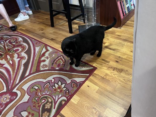 NEXT PAGE BOOKS - Updated December 2025 - 68 Photos & 18 Reviews - 1105 ...