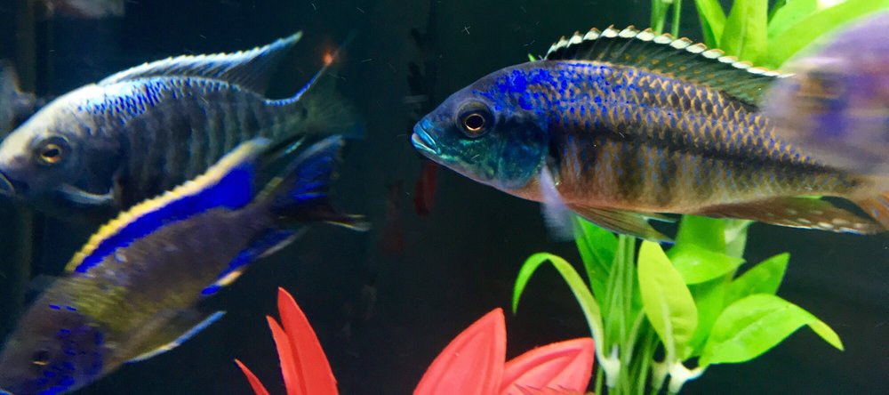 Natural Environment Aquatix, Jacksonville | Roadtrippers