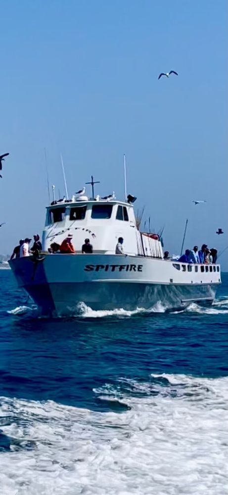 SPITFIRE SPORTFISHING - Updated October 2024 - 13552 Fiji Way, Marina ...