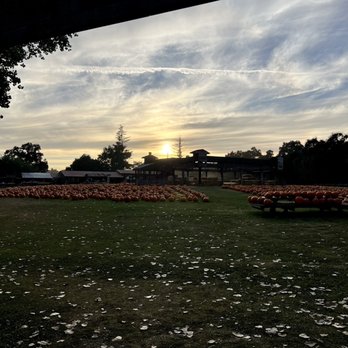 FOG WILLOW FARMS - Updated January 2025 - 473 Photos & 182 Reviews ...