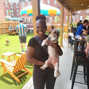 THE BOOZY MUTT - Updated September 2024 - 78 Photos & 18 Reviews - 2639 ...