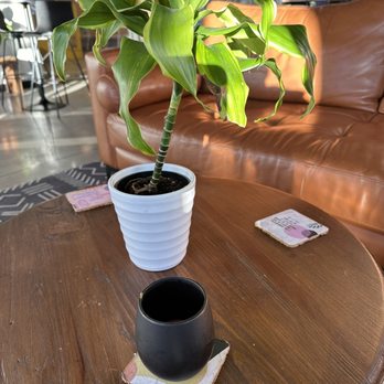 FLAVA COFFEE & CAFE - Updated October 2025 - 54 Photos & 20 Reviews ...