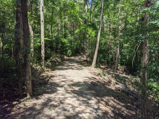 THE PRESERVE DOG PARK - Updated June 2024 - 15 Photos - 330 O'henry Ave ...