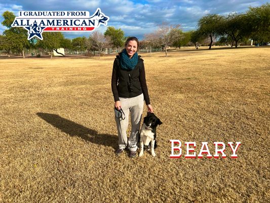 ALL-AMERICAN K-9 DOG TRAINING - 379 Photos & 267 Reviews - Phoenix ...