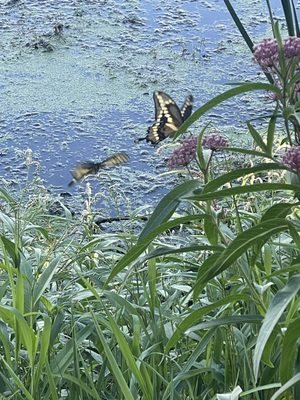 FISH LAKE ACRES CAMPGROUND - Updated July 2025 - 15 Photos & 14 Reviews ...