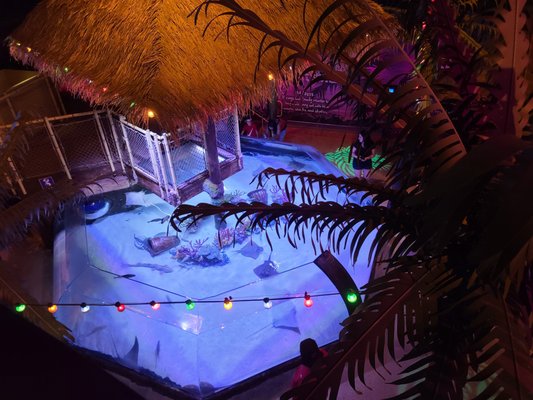 SEA LIFE GRAPEVINE AQUARIUM - 417 Photos & 244 Reviews - 3000 Grapevine ...