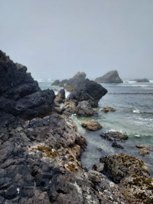 SEAL ROCKS RV COVE - Updated December 2025 - 73 Photos & 51 Reviews ...