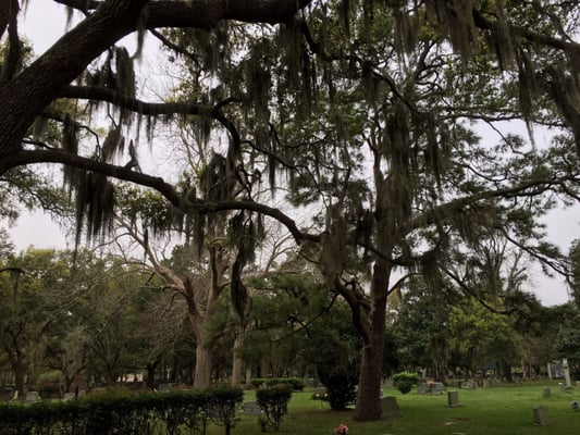 GALVESTON MEMORIAL PARK CEMETERY - Updated October 2025 - 17 Photos ...