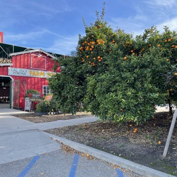 CAL POLY POMONA FARM STORE - Updated July 2024 - 919 Photos & 201 ...