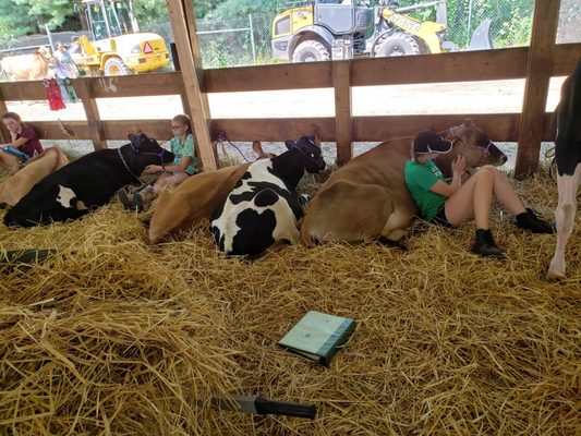 FOUR TOWN FAIR - Updated January 2026 - 56 Egypt Rd, Somers ...