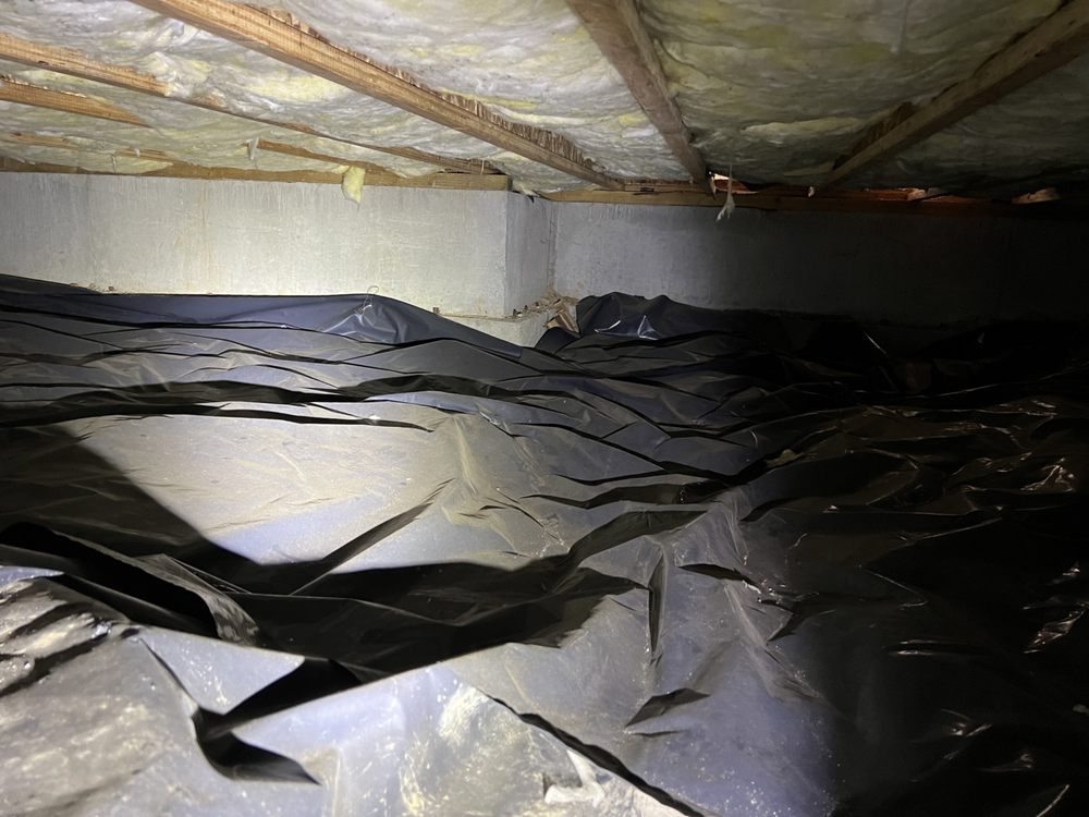 FRONTIER PEST CONTROL - Updated August 2025 - 20 Photos & 13 Reviews ...