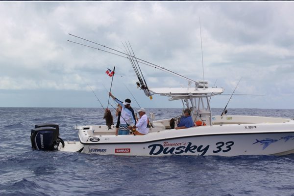 BOUNCER’S DUSKY 33 - Updated July 2025 - 23 Photos - 1521 Alton Rd ...