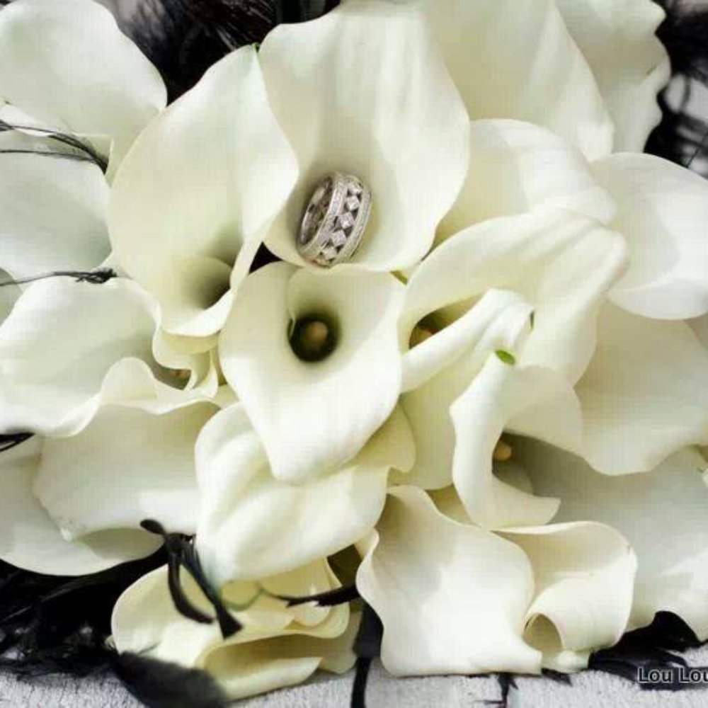 The Flower Mill Fergus Falls Mn | Best Flower Site