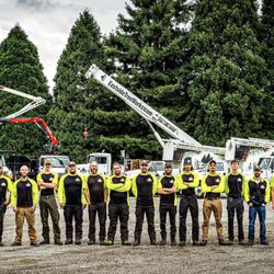 Best Tree Services Near Me - December 2025: Find Nearby Tree Services ...