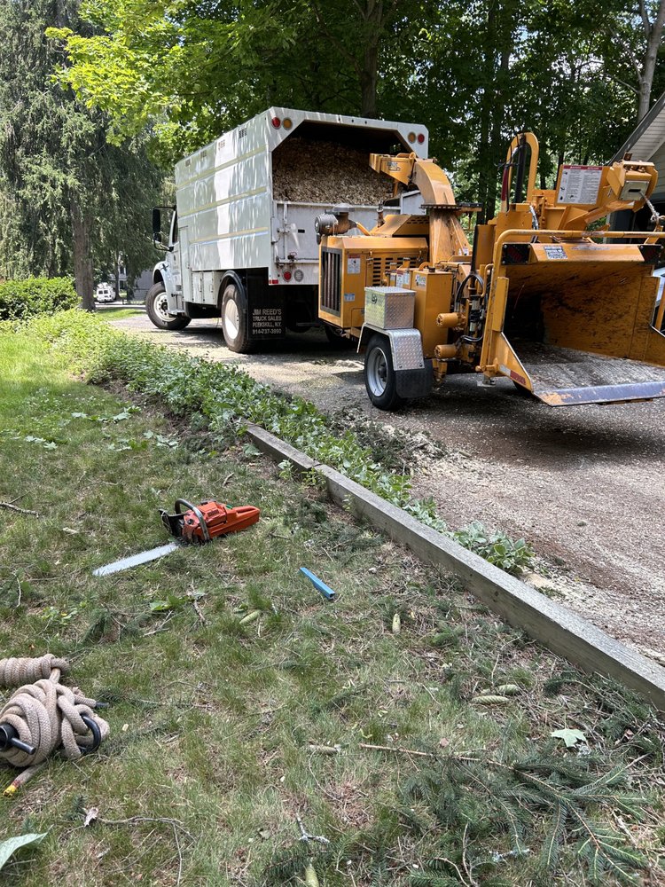 WM TREE SERVICES - Updated July 2025 - 10 Photos - Yorktown Heights ...