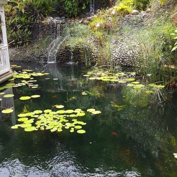 DUNBAR’S - Updated December 2025 - 37 Photos - Carretera 174 Km 14.2 ...