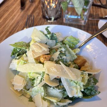 STELLA MODERN ITALIAN CUISINE - Updated January 2026 - 500 Photos & 395 ...