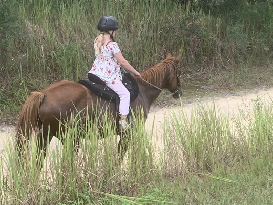 VALRICH STABLES - Updated September 2024 - 1500 W Sunturf St Lecanto Fl ...