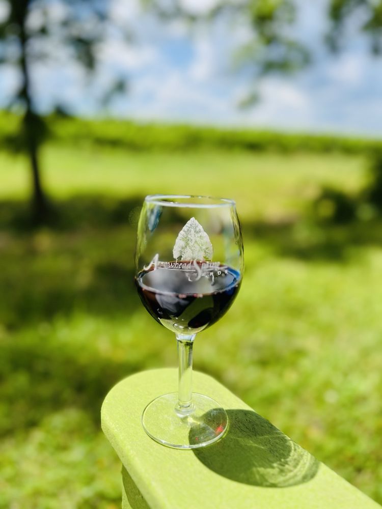 ARROWHEAD SPRING VINEYARDS - Updated December 2025 - 200 Photos & 66 ...