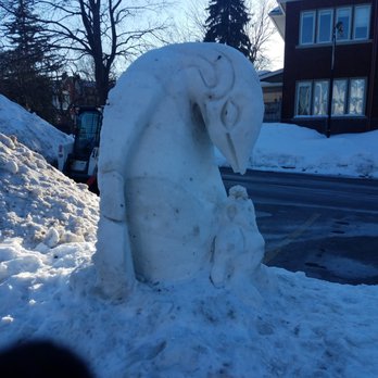 WINTERLUDE/BAL DE NEIGE - Updated February 2026 - 110 Photos & 12 ...