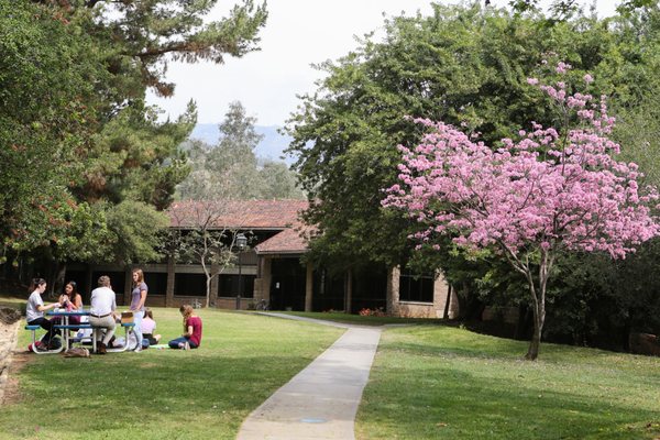 THE WEBB SCHOOLS - Updated December 2025 - 17 Photos - 1175 W Baseline ...