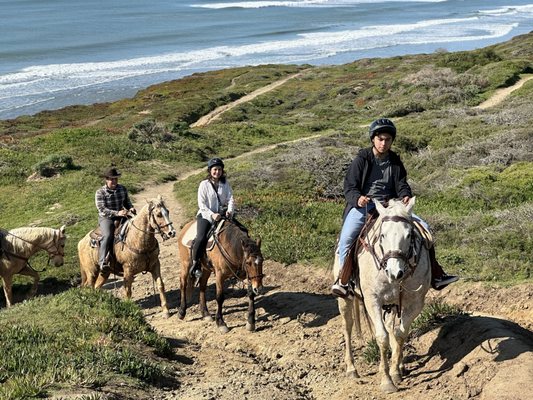 OCEAN VIEW STABLES - Updated July 2024 - 56 Photos & 42 Reviews - 2152 ...