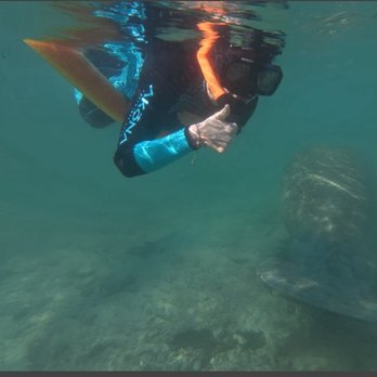 FUN 2 DIVE MANATEE TOURS - Updated January 2026 - 413 Photos & 236 ...