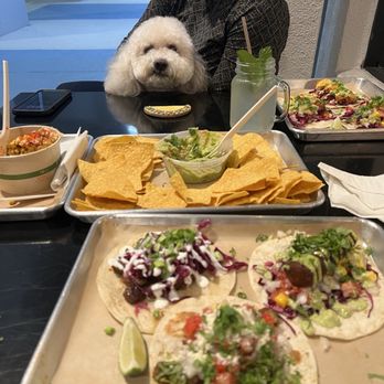 TACO LABS BOCA - Updated May 2024 - 89 Photos & 64 Reviews - 1956 NE ...