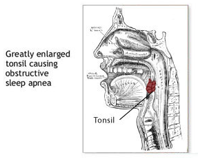 MATTHEW FINERMAN, MD - Updated December 2025 - 14 Photos & 57 Reviews ...