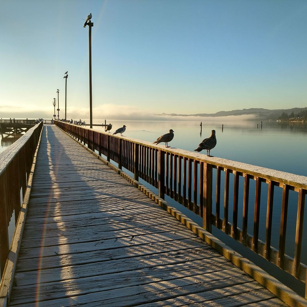 Top 10 Best Fun Things to Do in Silverdale, WA - Last Updated September ...