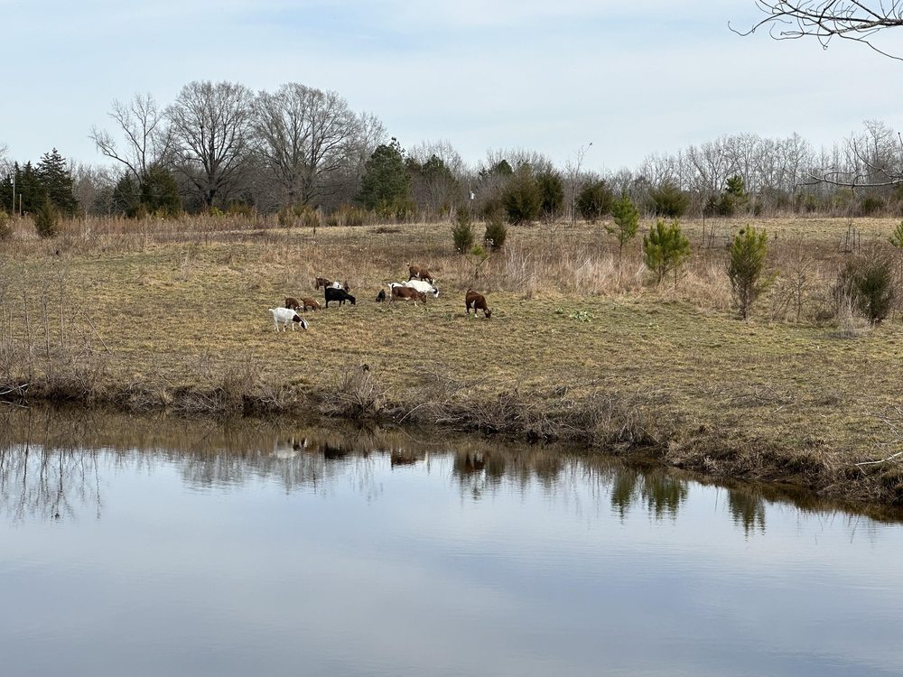 GOLDEN BOWL FARM - Updated May 2025 - 0 Dickey Mill Rd, Mebane, North ...