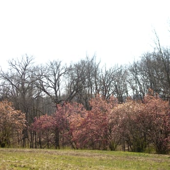 SHAW NATURE RESERVE - Updated December 2024 - 113 Photos & 23 Reviews ...
