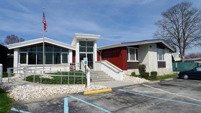 MONTGOMERY COUNTY SPCA - Updated July 2024 - 10 Photos & 43 Reviews ...