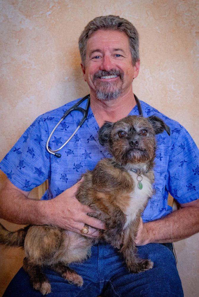 JUSTIN ANIMAL HOSPITAL - Updated January 2026 - 17 Reviews - 9849 Fm ...