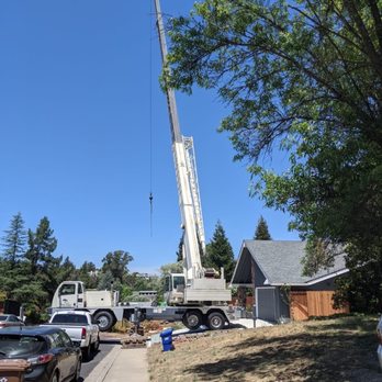 JULIAN TREE CARE - Updated June 2024 - 258 Photos & 271 Reviews ...