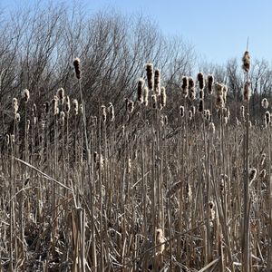 BOULDER RIDGE WILD ANIMAL PARK - Updated November 2025 - 151 Photos ...