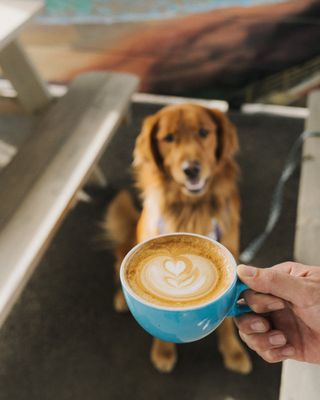 SIP-N-SEA CAFE - Updated January 2025 - 106 Photos & 105 Reviews - 1488 ...