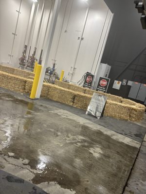 CYBER EXPRESS WASH - Updated December 2025 - 23 Photos & 12 Reviews ...