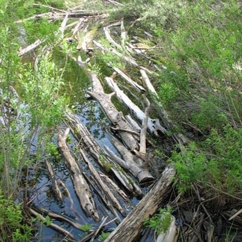 PUBLIC RECREATION AREA 19 - Updated August 2025 - Wpa Road At Way Dam ...