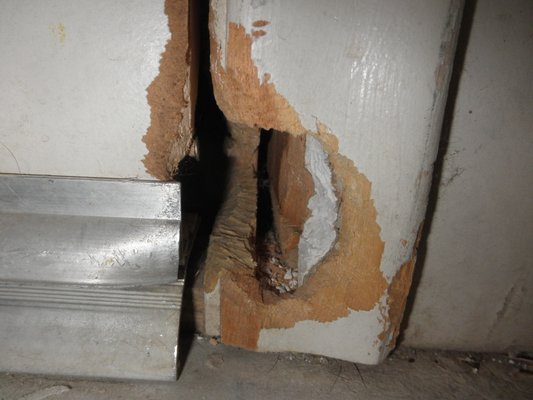 MR PACK RAT - Updated December 2025 - 30 Photos & 30 Reviews - Tucson ...