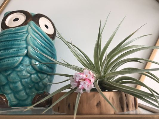 NOBLE PLANTS - Updated July 2024 - 44 Photos & 92 Reviews - 106 W 28th ...