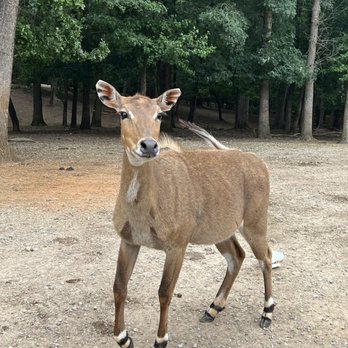 LAZY 5 RANCH - Updated November 2024 - 859 Photos & 278 Reviews - 15100 ...