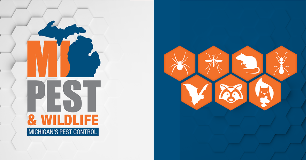 MI PEST - Updated July 2024 - 493 W Lake St, Beulah, Michigan - Pest ...