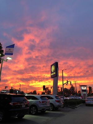 THOMAS ACURA - Updated October 2025 - 56 Photos & 259 Reviews - 580 S ...